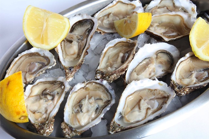 Los moluscos de Puerto Rico | Ciencia Puerto Rico